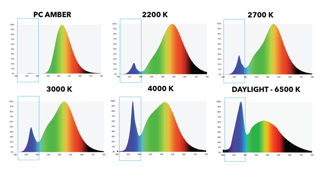 CTD Kit - WE-EF Live