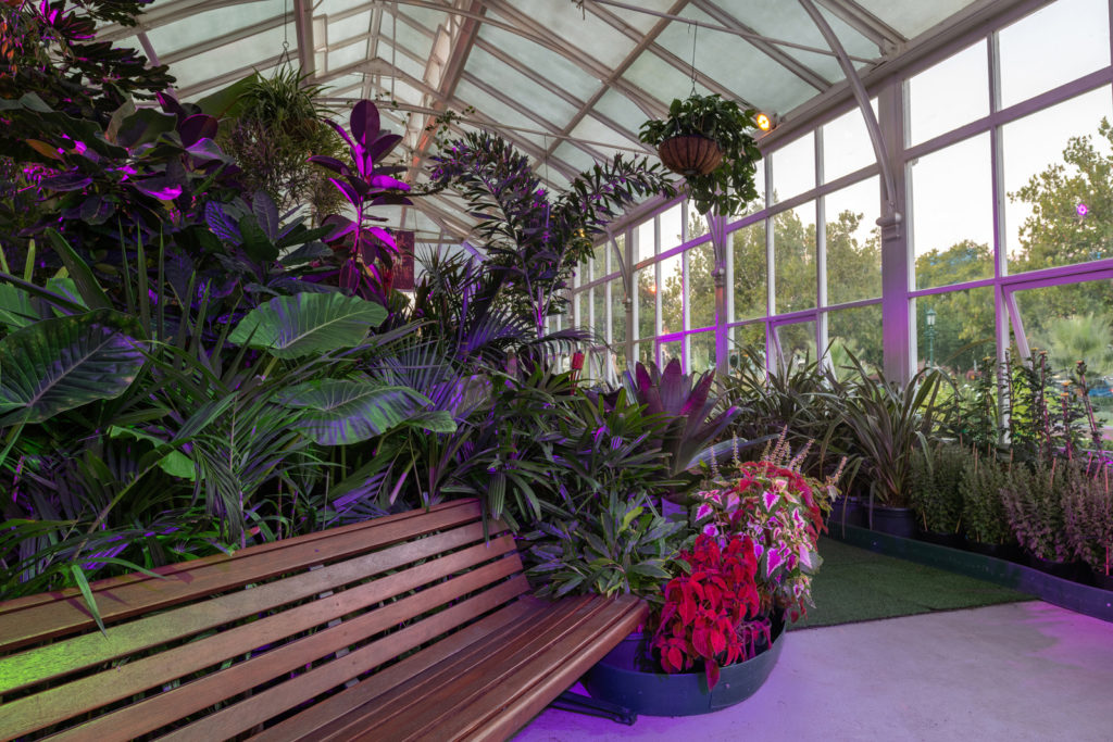 Bendigo Conservatory Gardens - WE-EF Live